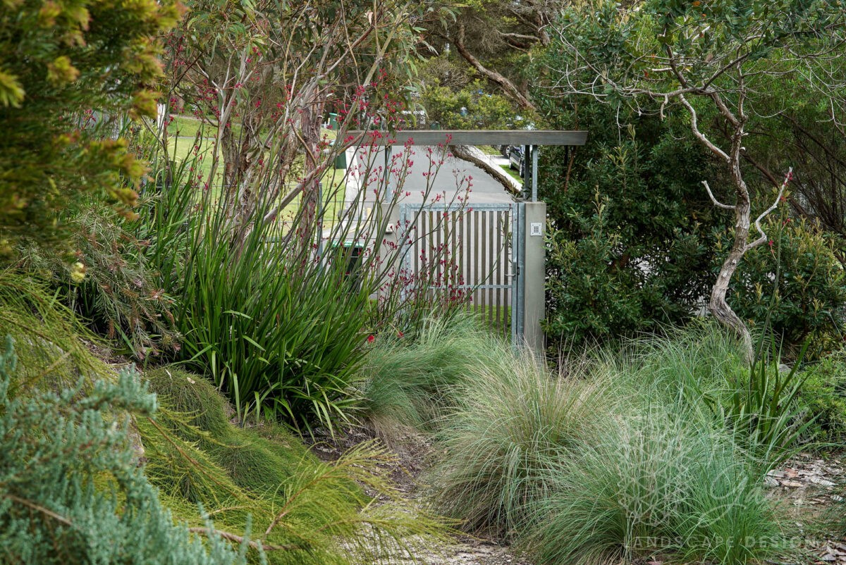 Bundeena – Kath Gadd Landscape Design