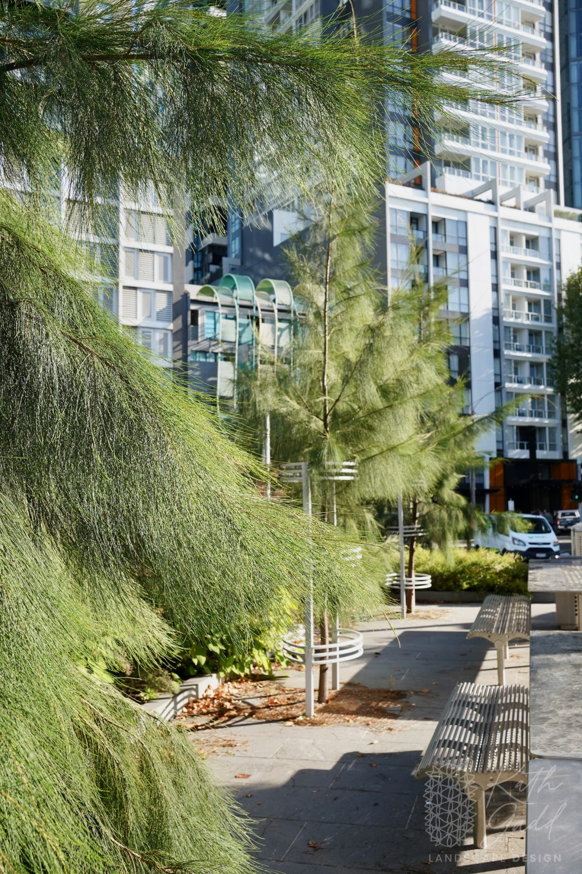 Australian Landscape Conference 2023: Beyond the Boundaries – Kath Gadd ...