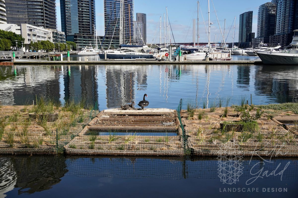 Australian Landscape Conference 2023: Beyond the Boundaries – Kath Gadd ...