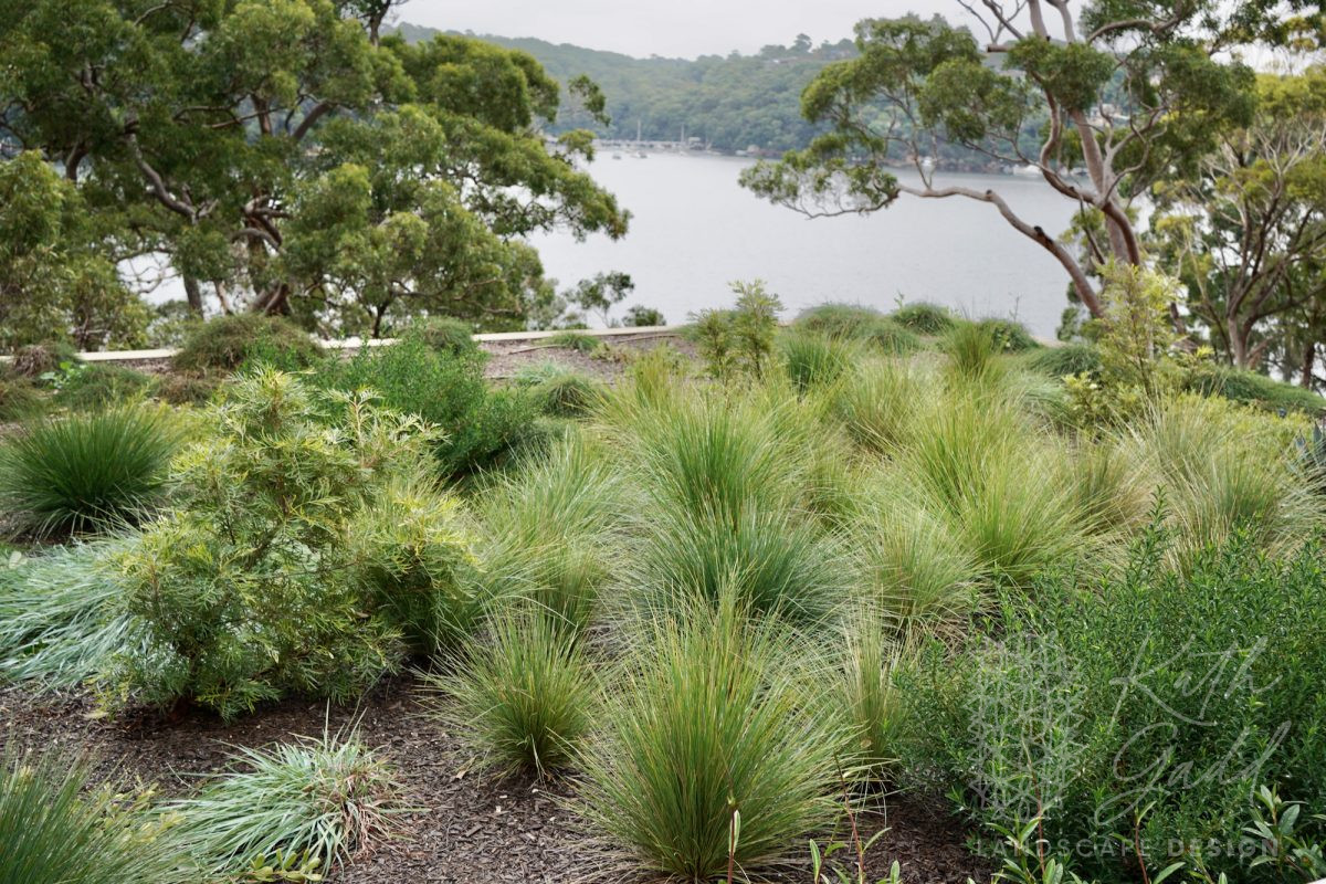 Yowie Bay – Kath Gadd Landscape Design